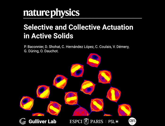 Investigadores UC participan en hallazgo de nuevo fenómeno de partículas en sólidos activos