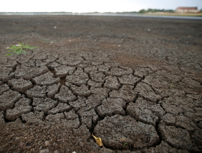 Tiempos de sequía, ¿cómo ayudar desde el hogar?