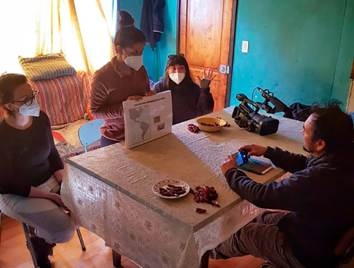 Investigan el origen del pueblo mapuche a través de genética y lingüística