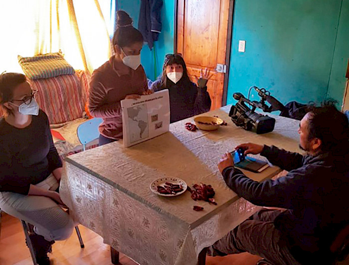 Unveiling the Origins of the Mapuche: Genetics and Language Provide Clues