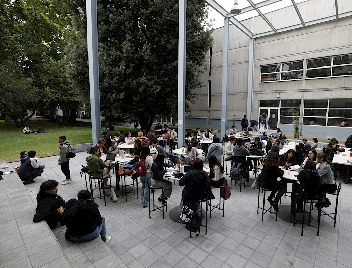 UC Chile Excels in QS Ranking: Among Global Leaders in 37 Disciplines