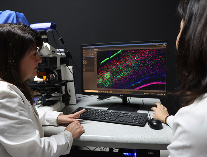 UC Chile Innovation Against Neurodegenerative Diseases Crosses Borders