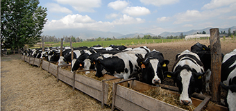 Agronomía UC emplazó a reflexionar acerca de cómo mejorar el bienestar ...