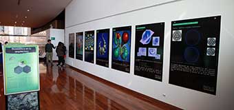 Exposición de Explora y UC vincula ciencia, arte y naturaleza